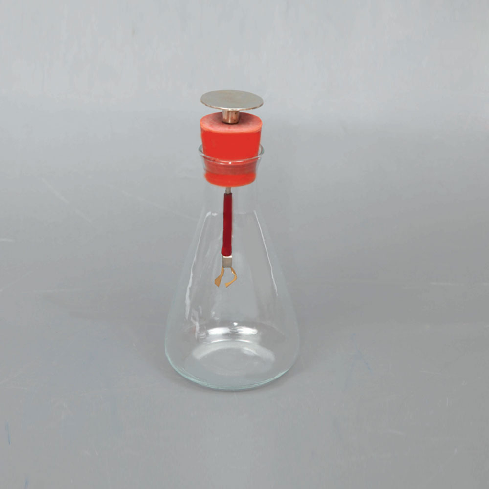 Electroscope Simple Flask Type - Delta Educational Electroscope Simple Flask Type - Delta Educational