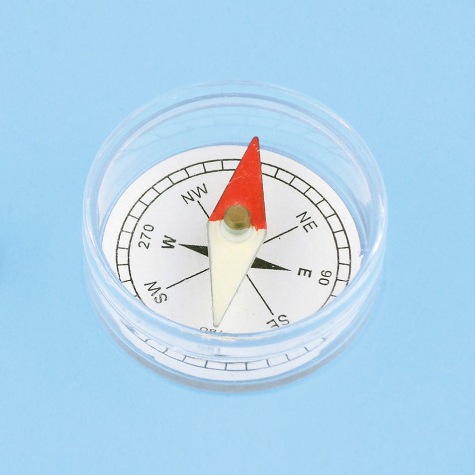 Basic Compasses Pack 10 Delta Educational